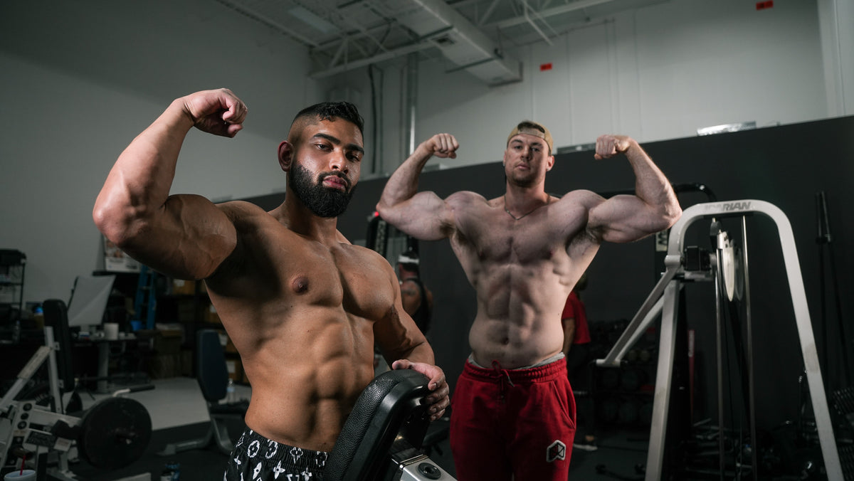 Partner Program - Bpi Sports